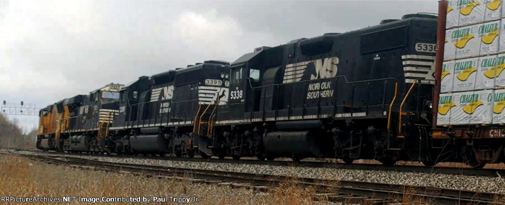 NS 5338